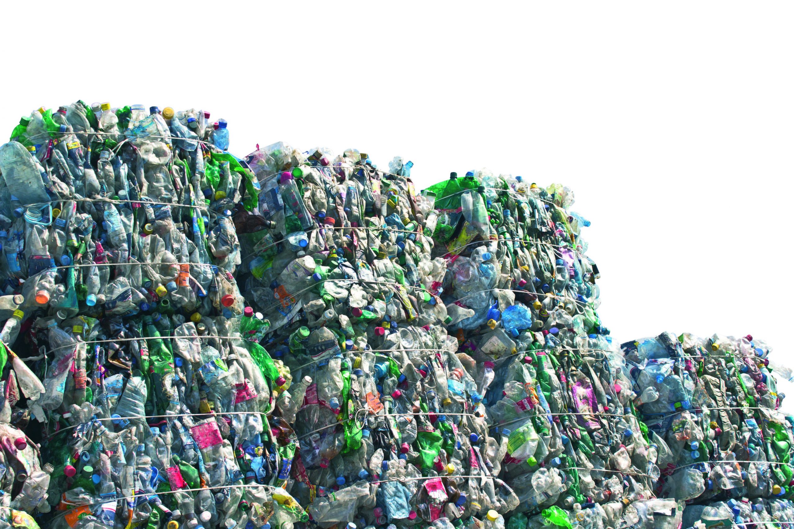 Plastic peril - Hodder Education Magazines