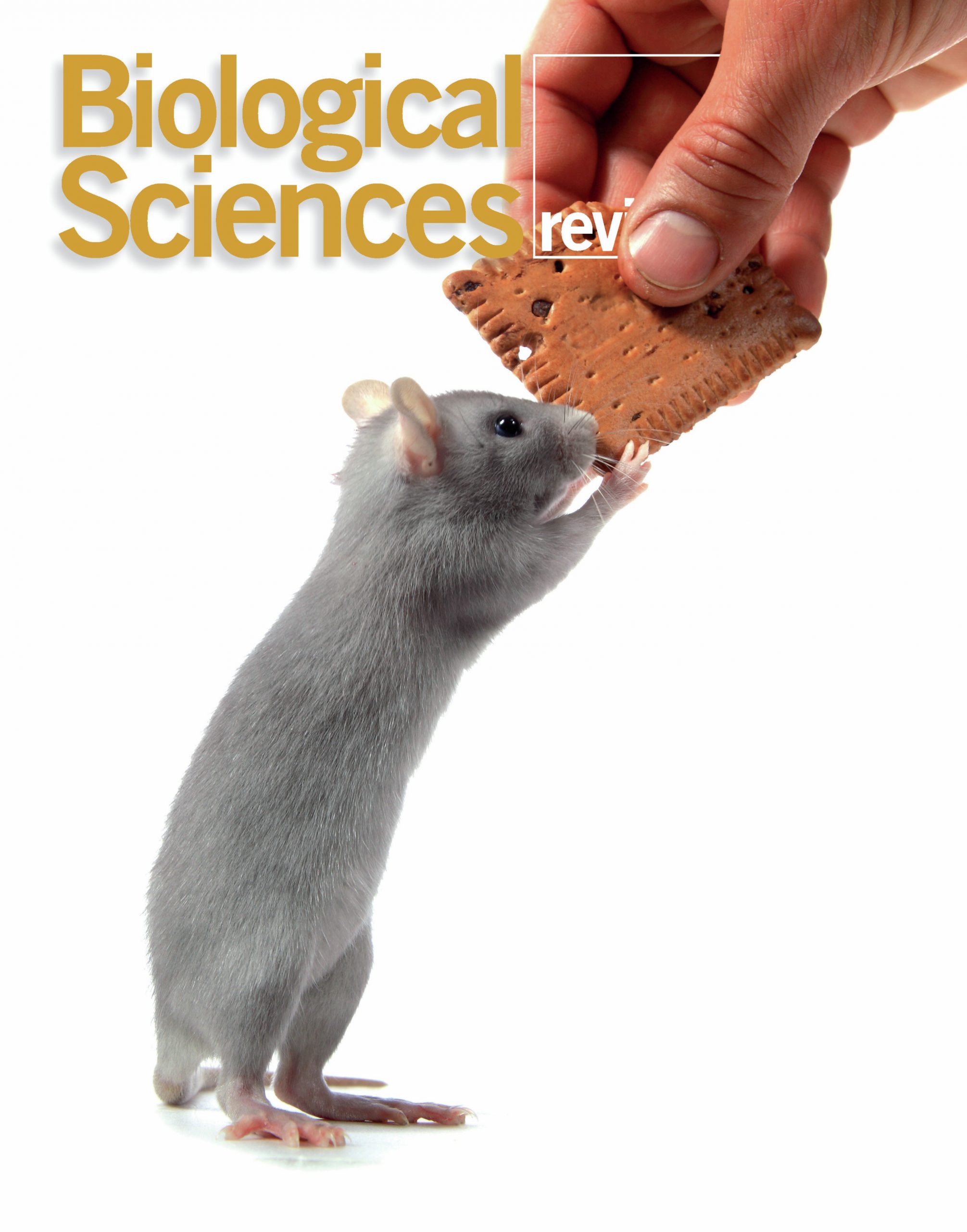 Man or mouse? - Hodder Education Magazines