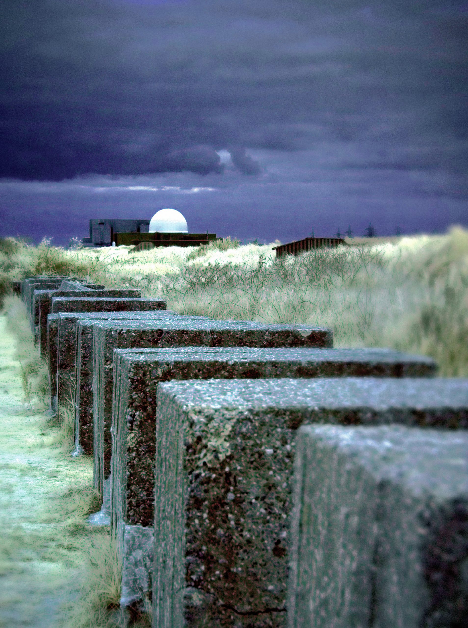 Mammoth ivory hunting in Siberia - Hodder Education Magazines