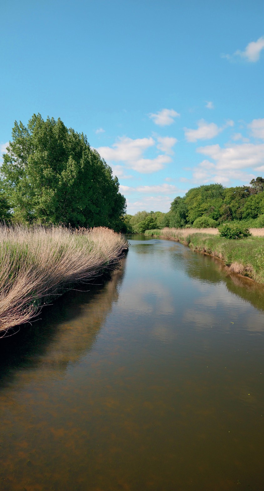 Managed realignment in east Devon - Hodder Education Magazines