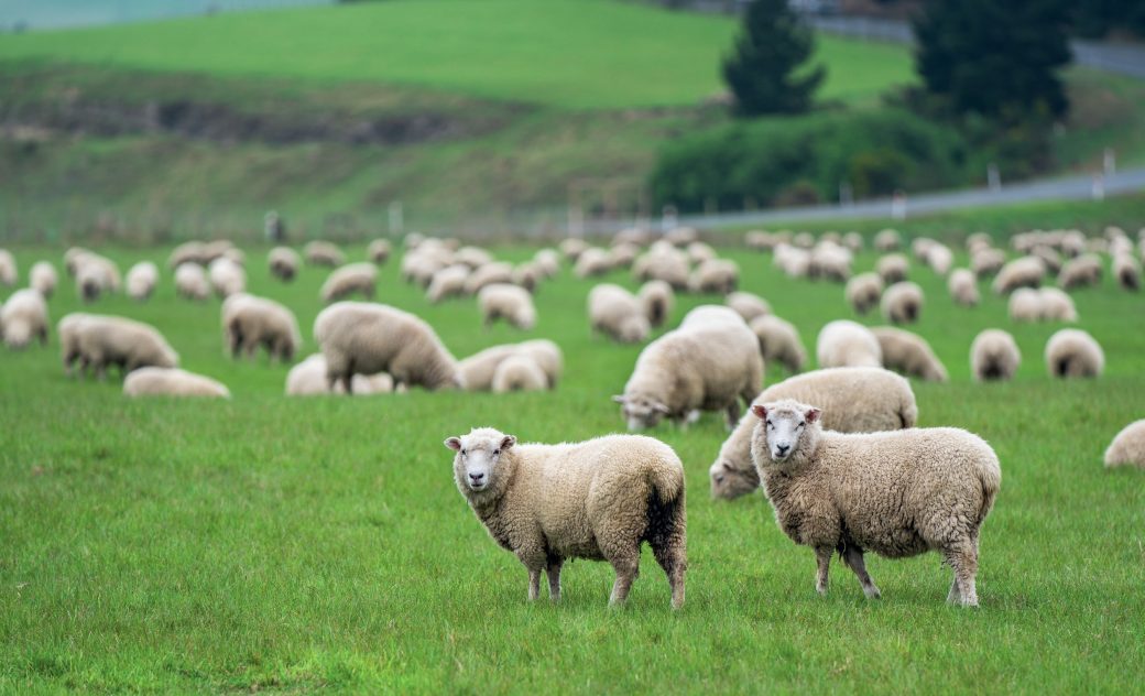 A-Level Law Review 2023-04-01 - Hodder Education Magazines