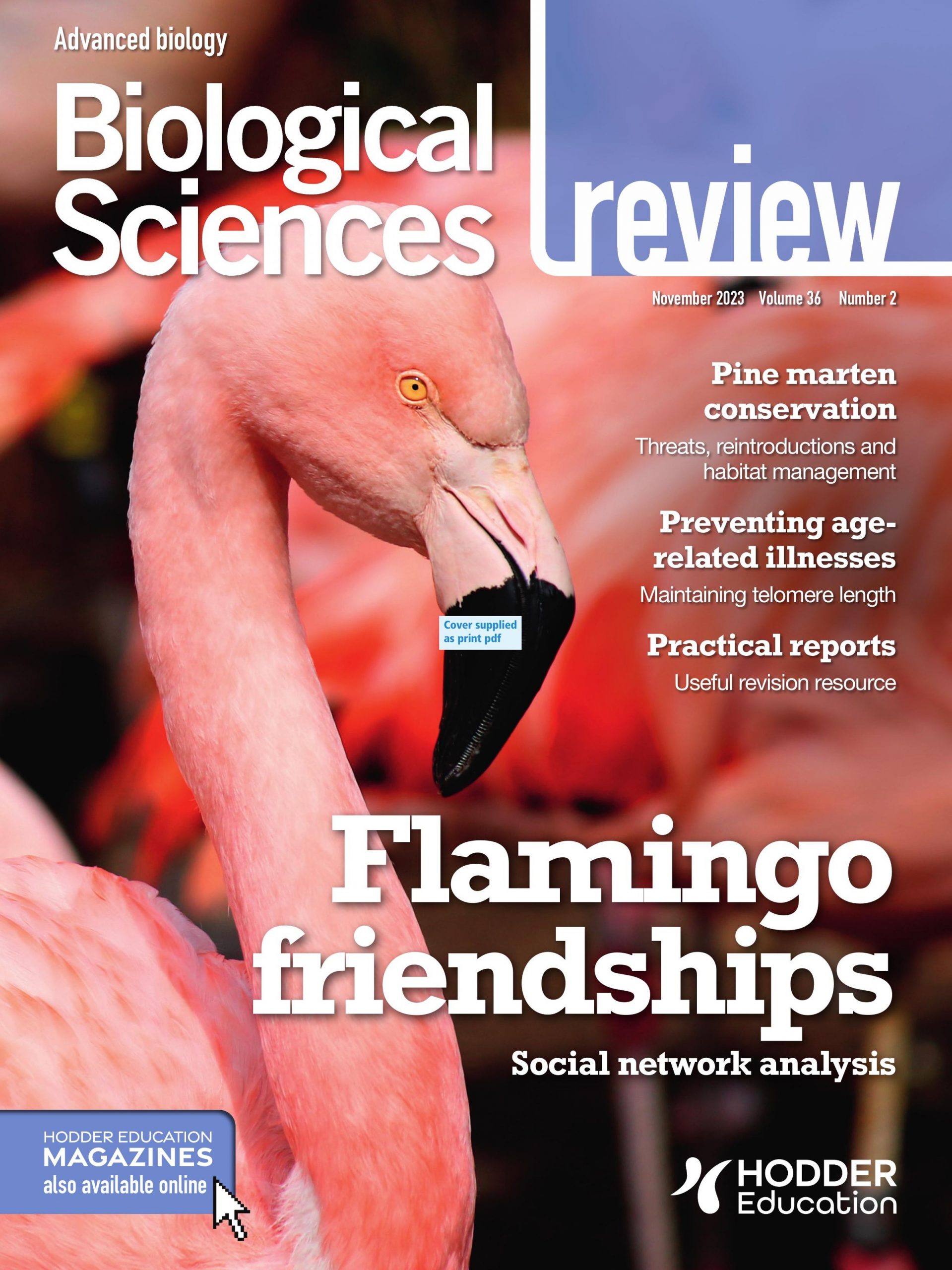 Biological Sciences Review Archives - Hodder Education Magazines