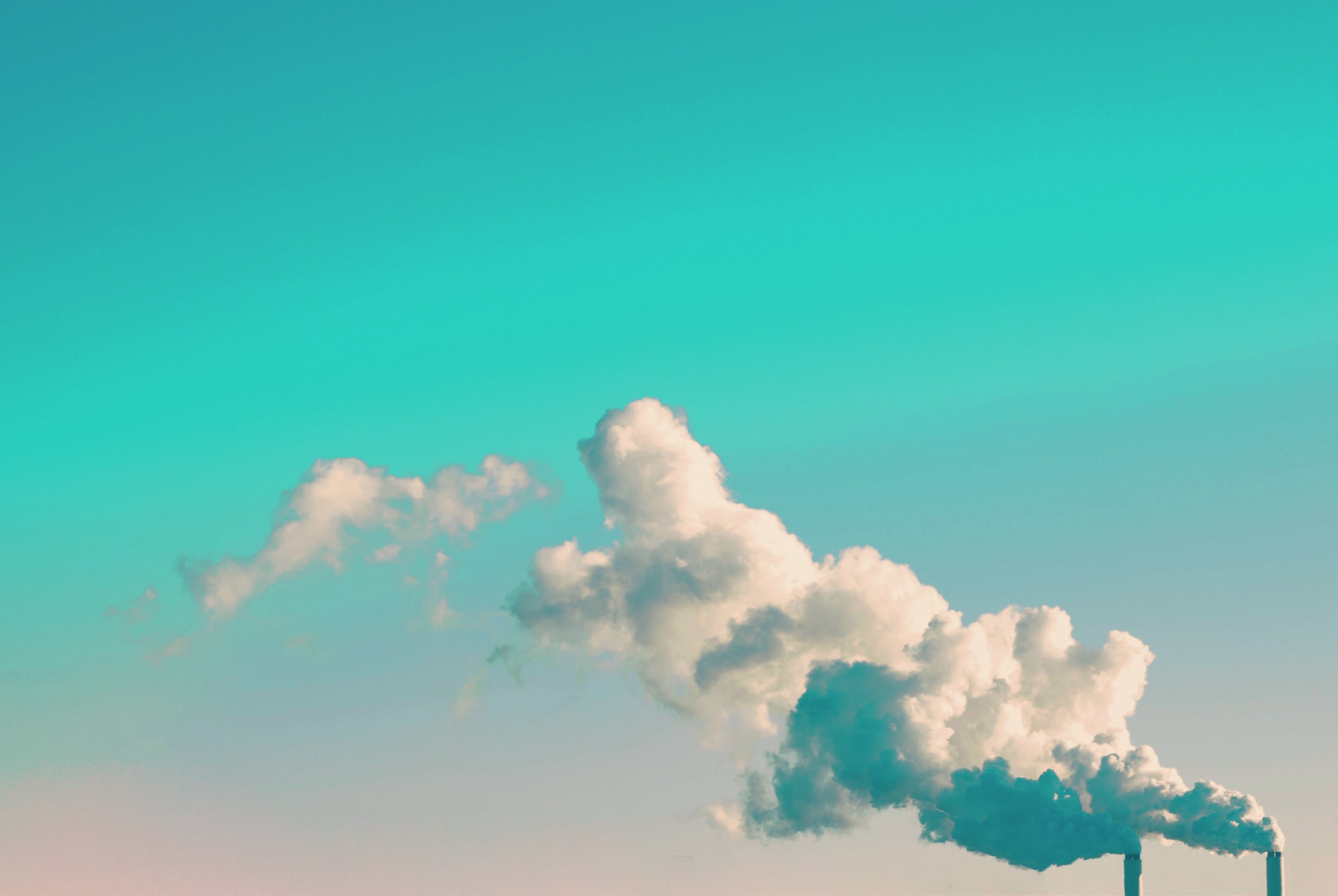 Water and carbon update: Capturing carbon - Hodder Education Magazines