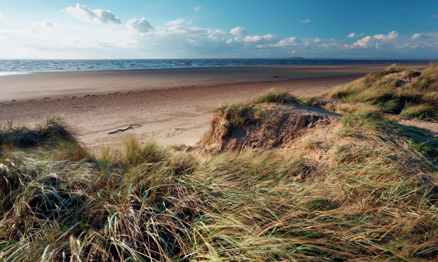 Epping Forest ecosystem - Hodder Education Magazines