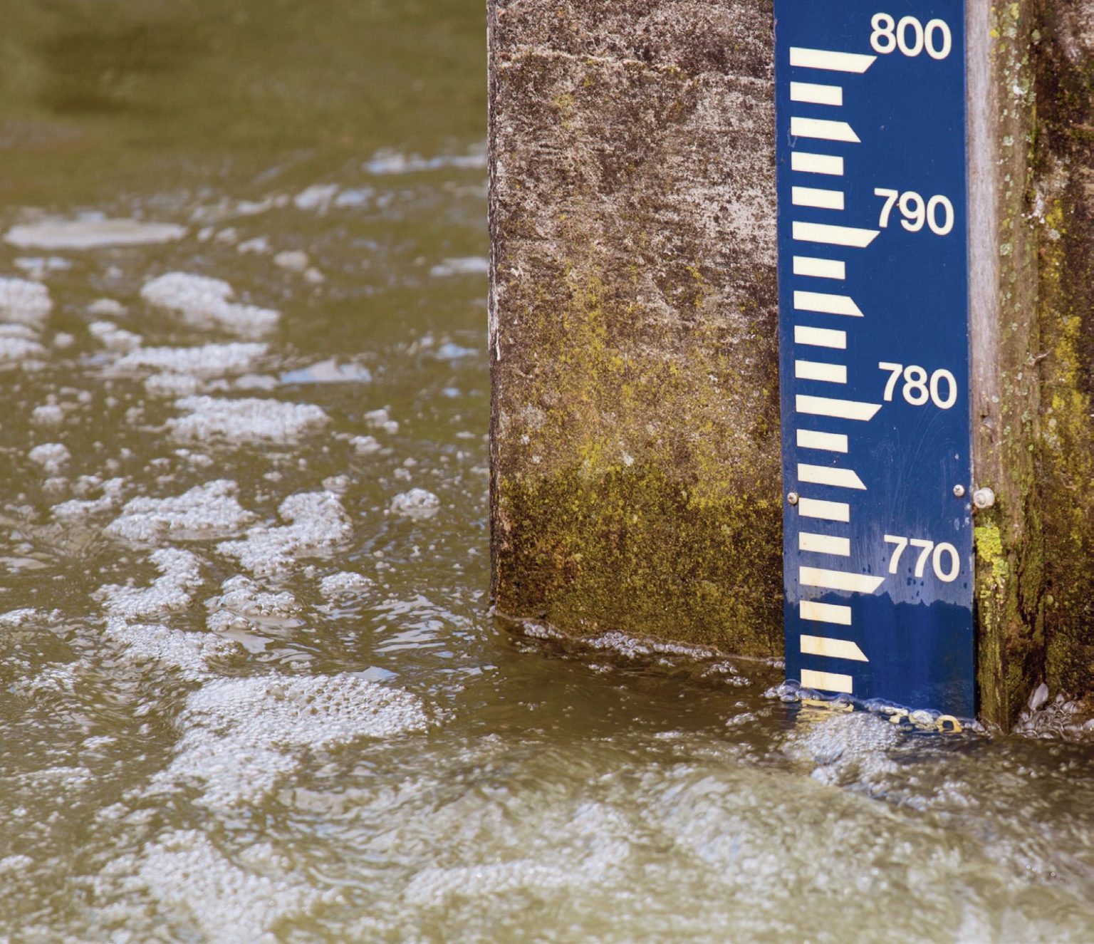 Epping Forest ecosystem - Hodder Education Magazines